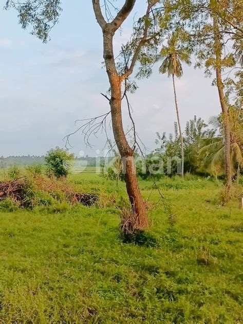 Land For Sale In Ambalantota Ikman