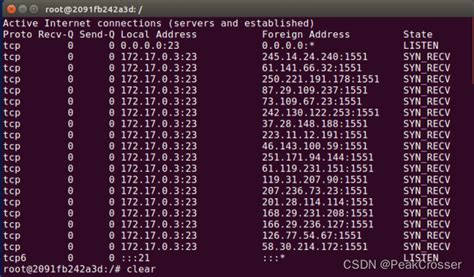 计算机网络安全实验 Tcp协议漏洞利用tcp漏洞 Csdn博客
