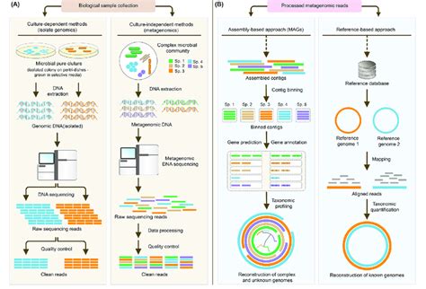 Schematic Representation Of The Different Approaches Used In The