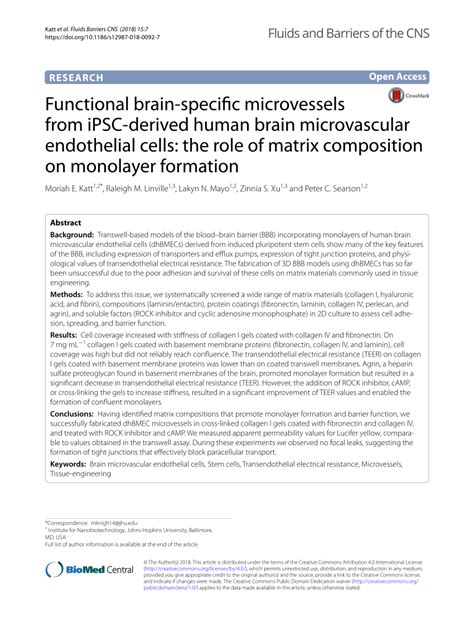 Pdf Functional Brain Specific Microvessels From Ipsc Derived Human Brain Microvascular