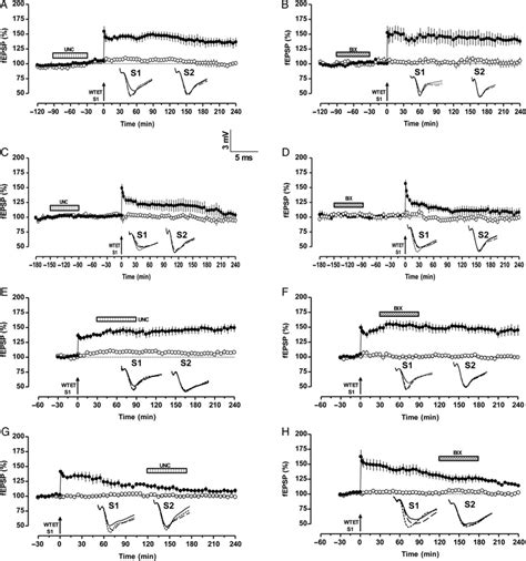 Priming Stimulation By Inhibitors Of G9aglp Complex Reinforces