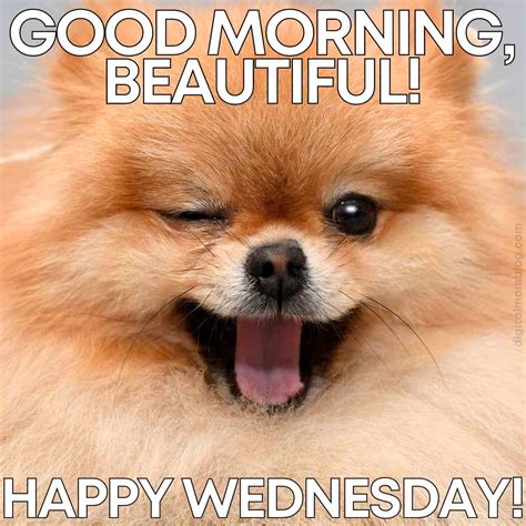 Wednesday Funny