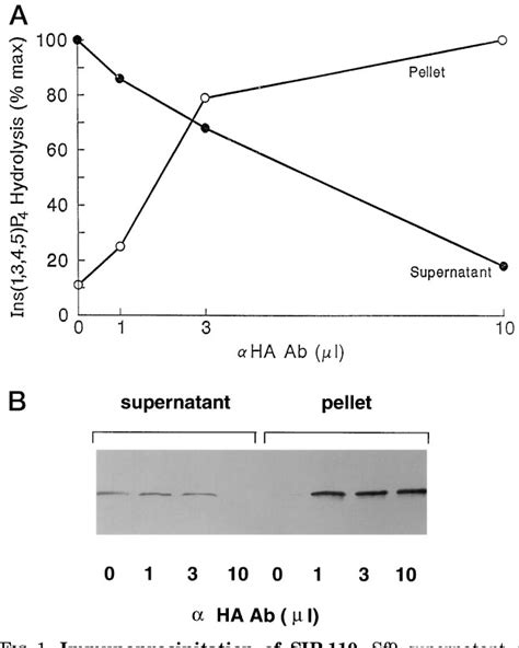 Figure 1 From Signaling Inositol Polyphosphate 5 Phosphatase Semantic