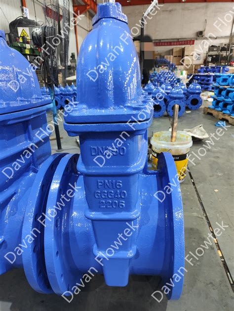 China DN Ductile Iron Ggg Rubber Wedge Resilient Seat Gear Operated Gate Valves Pn DIN