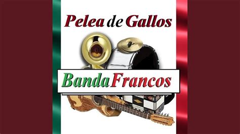 Pelea De Gallos Youtube