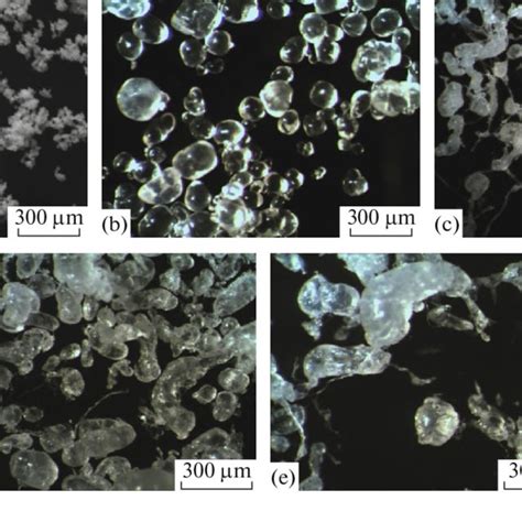 Supramolecular Structure Of Uhmwpe A And Composites Of Uhmwpe 20 Wt