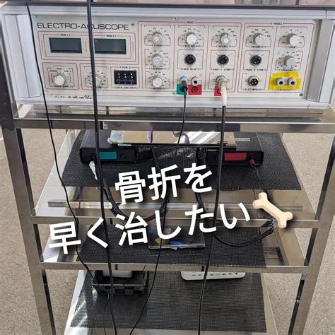 甲賀市で交通事故によるムチウチなら施術実績の豊富な「寺庄健康 ブログ 甲賀市の整骨院なら寺庄整骨院