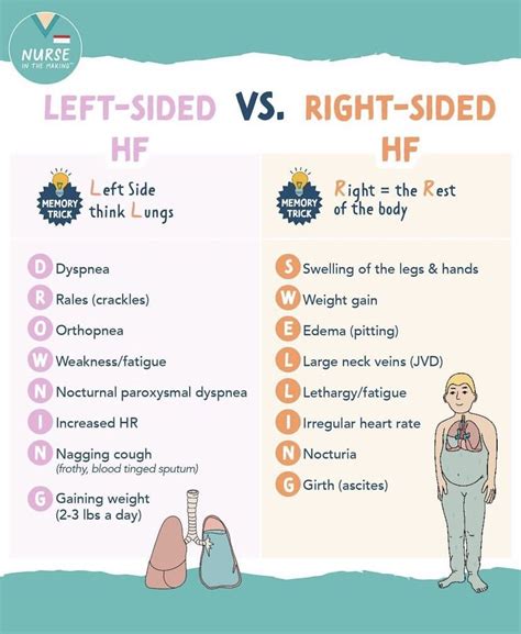 5 Types Of First Aid Shocks Symptoms And Treatment For Shock Artofit