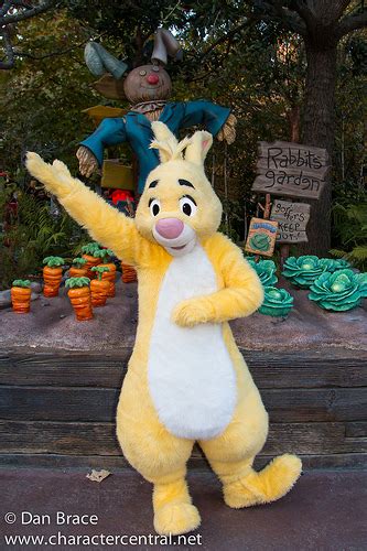 Rabbit Disney Parks Wiki Fandom Powered By Wikia