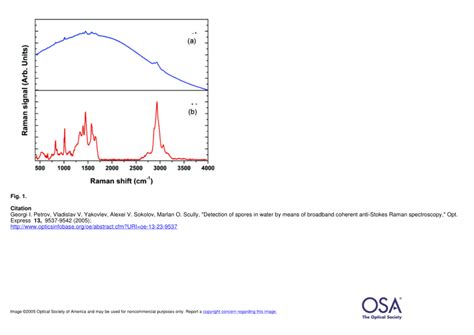 Pdf Detection Of Bacillus Subtilis Spores In Water By Means Of Broadband Coherent Anti Stokes