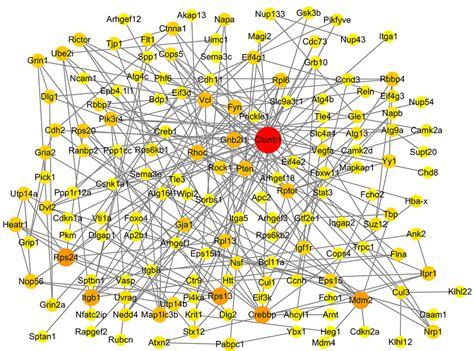 Network Of Ppis Ppi Networks Were Created Using The String Database Download Scientific