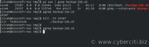 How To End Task With Pid In Linux Nixcraft