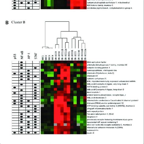 Identification Of Transcription Factor Binding Motifs In Promoters Of