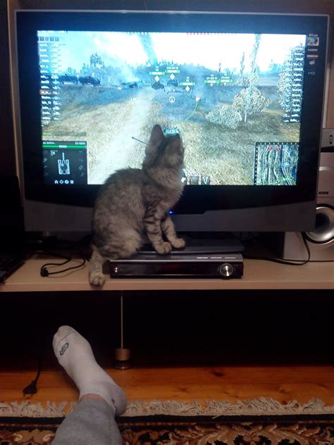 Мейн кун,WOT | Пикабу