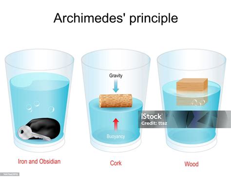 Ilustración De Principio De Arquímedes Experimento Densidad Gravedad
