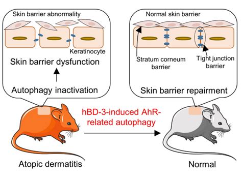 In A Study Recently Published In The Journal Eurekalert