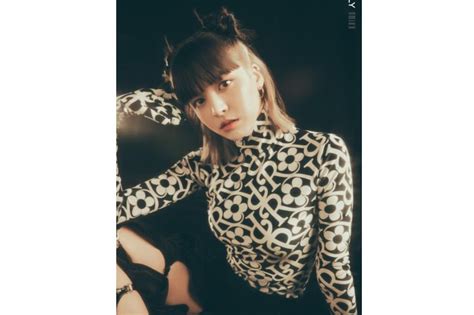 Lily韩国女团nmixx成员搜狗百科