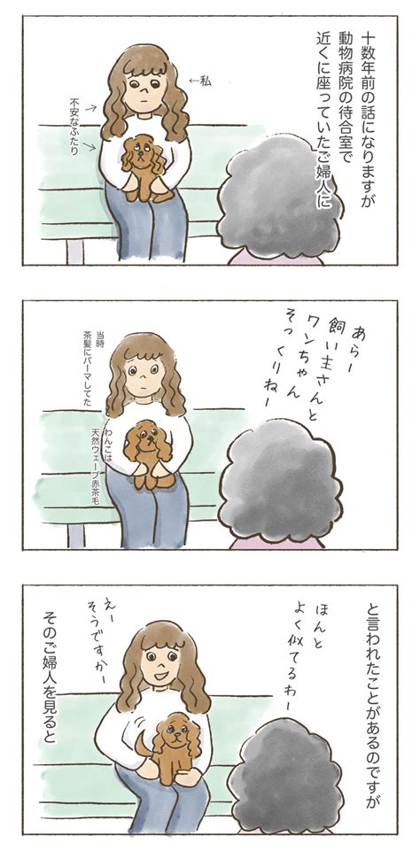 動物病院の待合室｜pitchpotch（ぴちぽち）