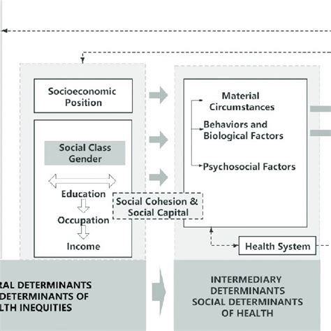 The Conceptual Framework Of Social Determinants Of Health Sdh