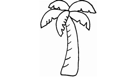 Dibujos De Palmera Para Colorear Y Pintar