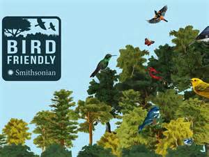 Smithsonian Bird Friendly Celebrates 25 Years Setting The Gold