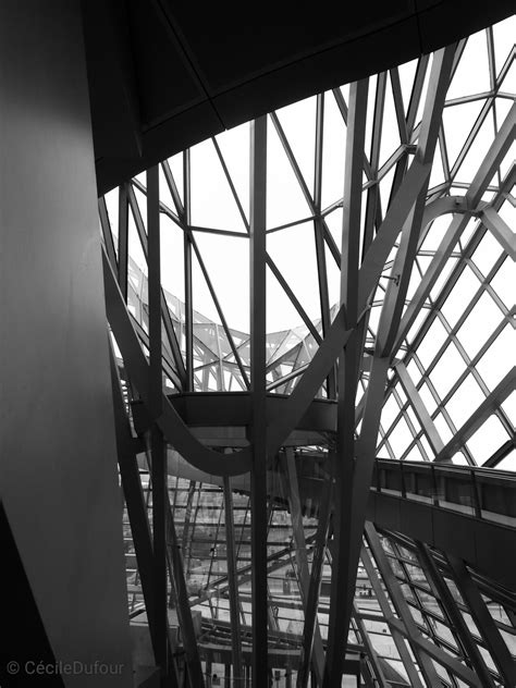 Photo Musée Des Confluences