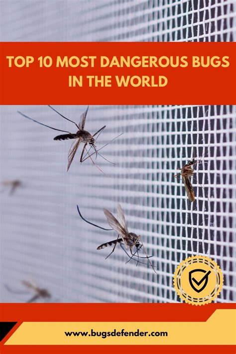 Top 10 Most Dangerous Bugs In The World