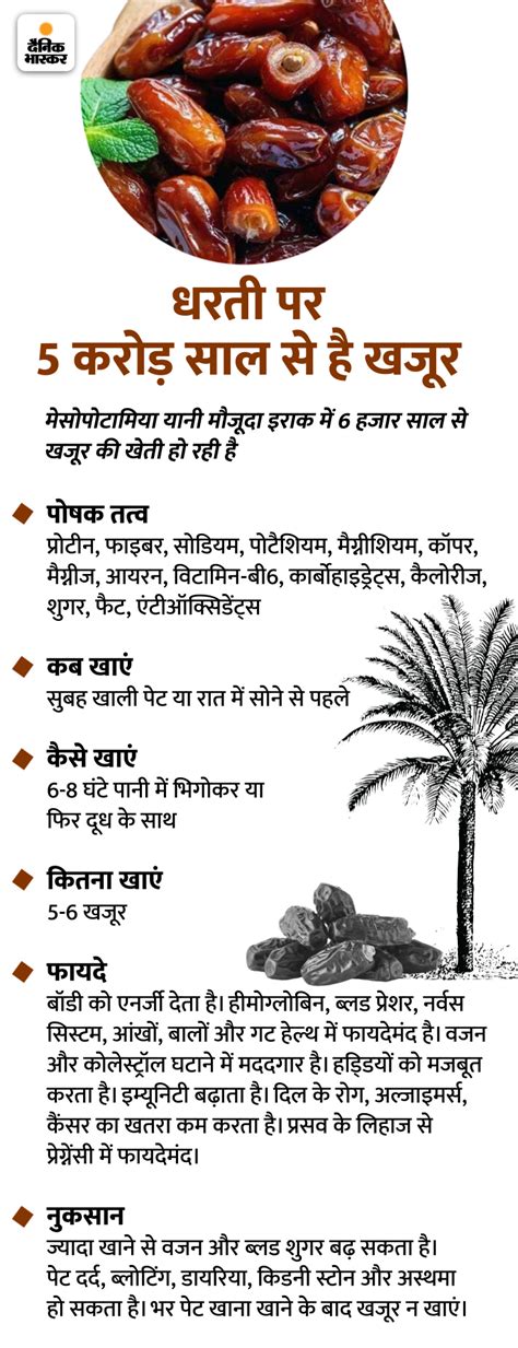 Dry Fruit Interesting Facts Kaju Badam Kismis Khane Ke Fayde Aur Side