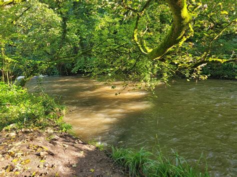 Mells River Swimming Wild Swimming Somerset
