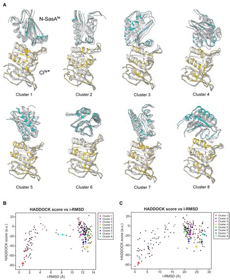 Fig S30 Haddock Clusters Of Ci Sasa Models And Their Statistics A Download Scientific