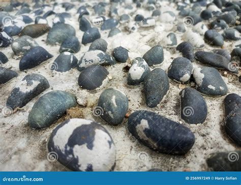 Pebble Path In Detail Stock Image Image Of Wall Food 256997249