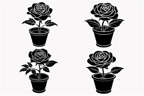 Marigold Marvels A Comprehensive Guide To Growing Vector Image