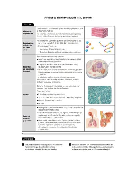Ejercicios De Biología Y Geología 3 Eso Edelvives Pdf