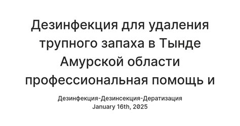 Дезинфекция для удаления трупного запаха в Тынде Амурской области