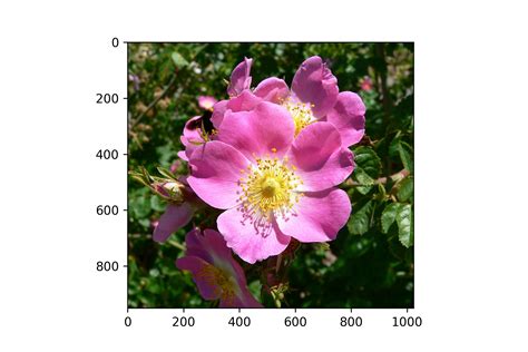 6 Plotting — Programming Skills