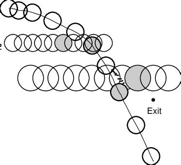 Initial Guess Of The Dynamic Optimization The Optimal Trajectory