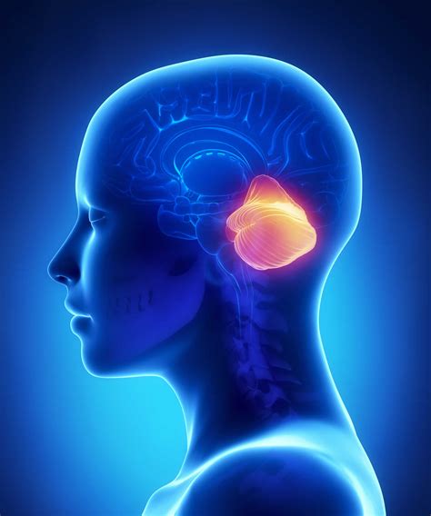 Ataxia Symptoms Causes Types Diagnosis Treatment