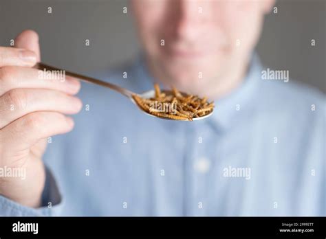 Spoon Worms