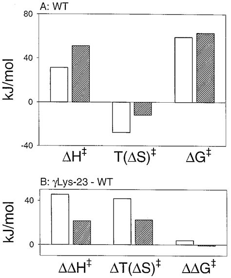 Transition State Thermodynamic Parameters For Steady State Atp Download Scientific Diagram