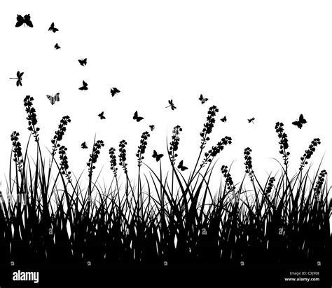 Vector Grass Silhouettes Background All Objects Are Separated Stock