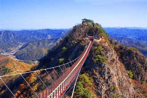 이곳이 비밀의 다리 보기만 해도 짜릿한 출렁다리 명소 2곳 여행을말하다