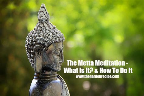 Metta Meditation Quick Guide To Metta Meditation And How To Do The
