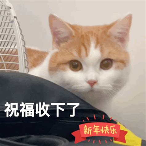 拜年表情包 堆糖，美图壁纸兴趣社区
