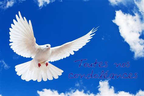 Cartes Virtuelles Toutes Nos Condoleances Joliecarte