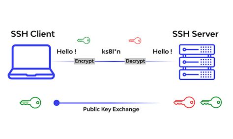 Setup Ssh Public Key Authentication On Your Server By Vladimirdbt Fiverr