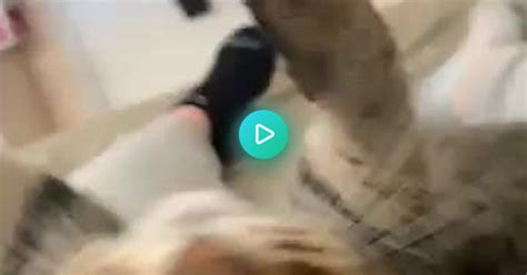 She Loves Attention Album On Imgur