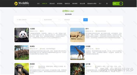 基于springboot vue动物园管理系统 知乎