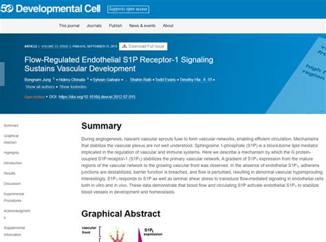 Flow Regulated Endothelial S1p Receptor 1 Signaling Sustains Vascular