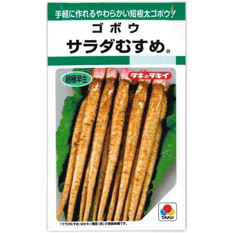 ごぼう 種子 サラダむすめ 4 5ml 10003815 なえ屋の羽場 通販 Yahoo ショッピング