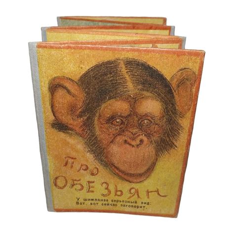 Про обезьян художник Ватагин книжка-гармошка купить